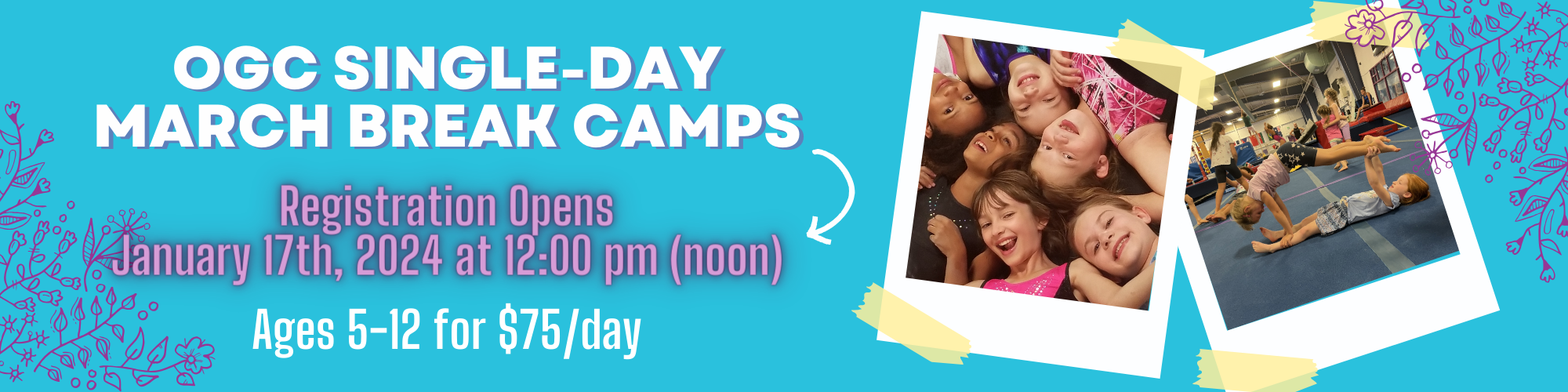 Home Page :: Ottawa Gymnastics Centre